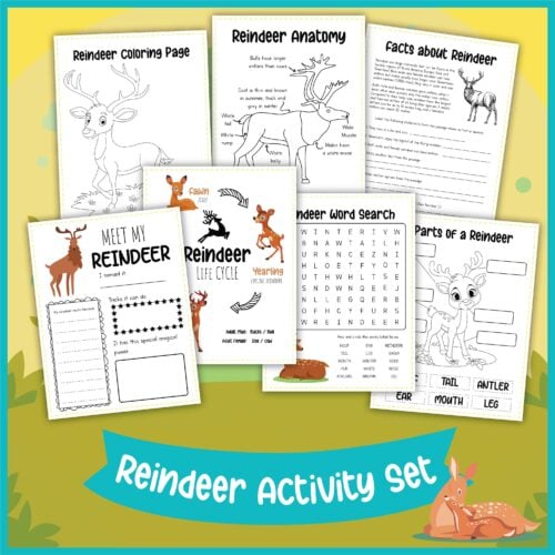 Free Printable Reindeer Activity Set - About a Mom