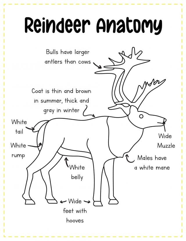 Free Printable Reindeer Activity Set - About a Mom